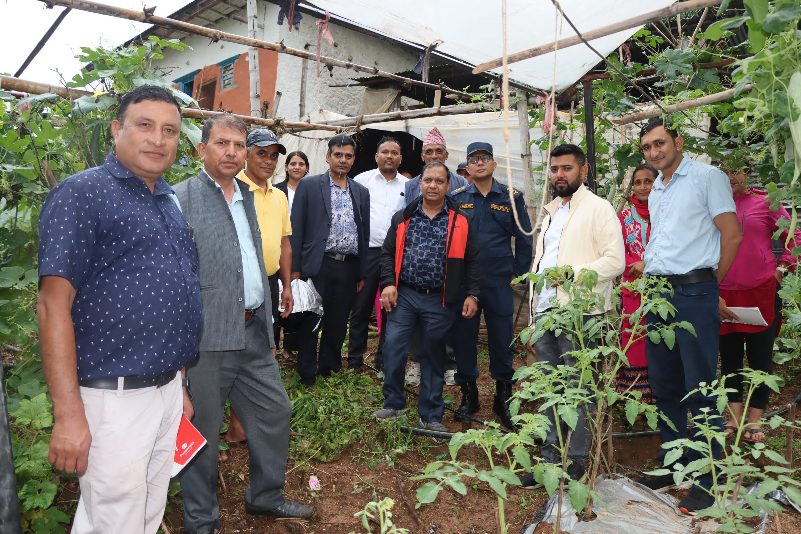 रुरुक्षेत्र गाउँपालिकाका किसानले बजार मागे, यथासिघ्र सहकारी मार्फत ...